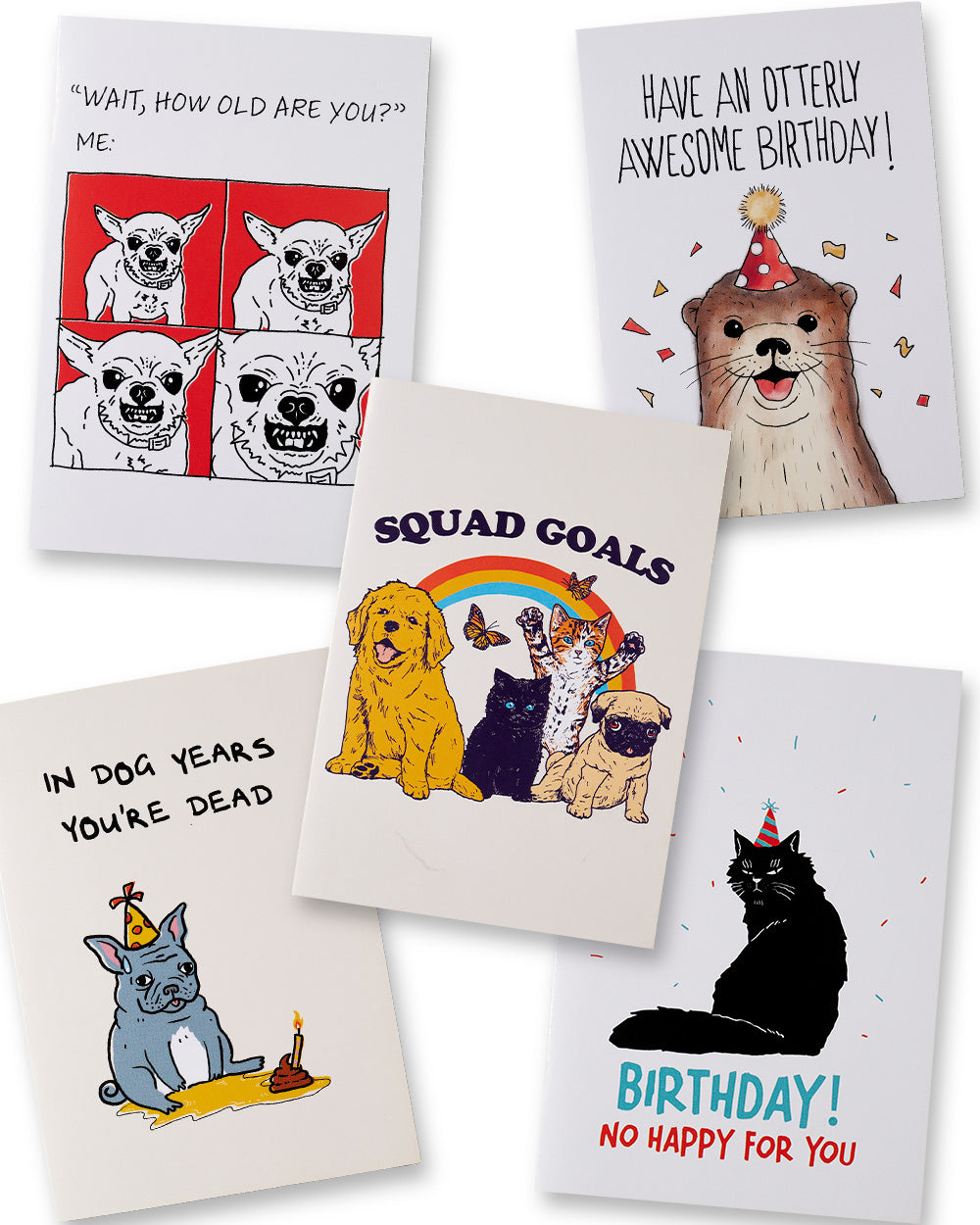 Animal Birthday Greeting Card Bundle | Funny Happy Birthday Cards Australia
