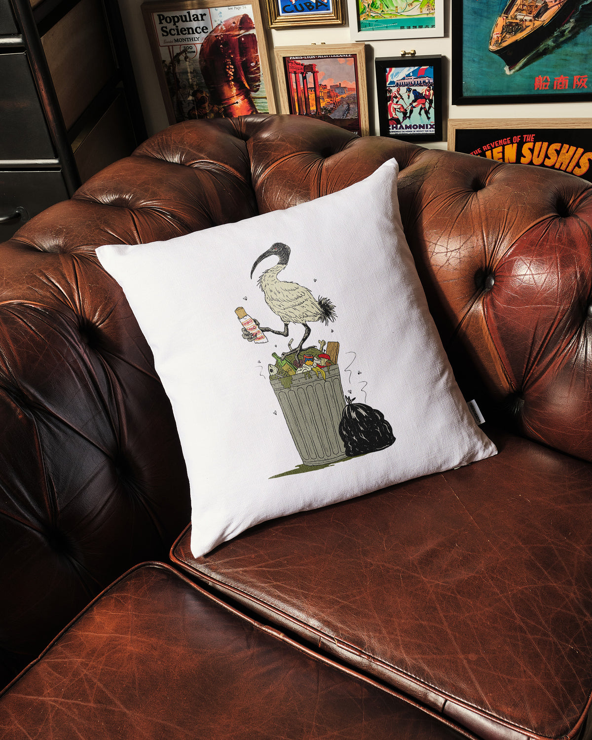 Bin Chicken Cushion | Graphic Cushion & Covers Australia