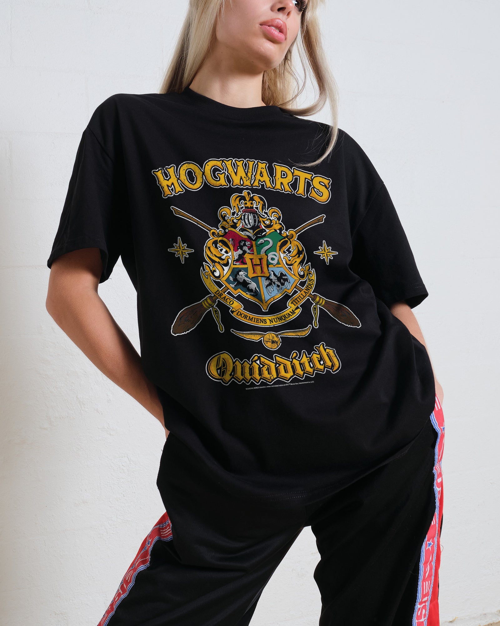 Hogwarts Quidditch Shield T-Shirt | Official Harry Potter Merch Australia