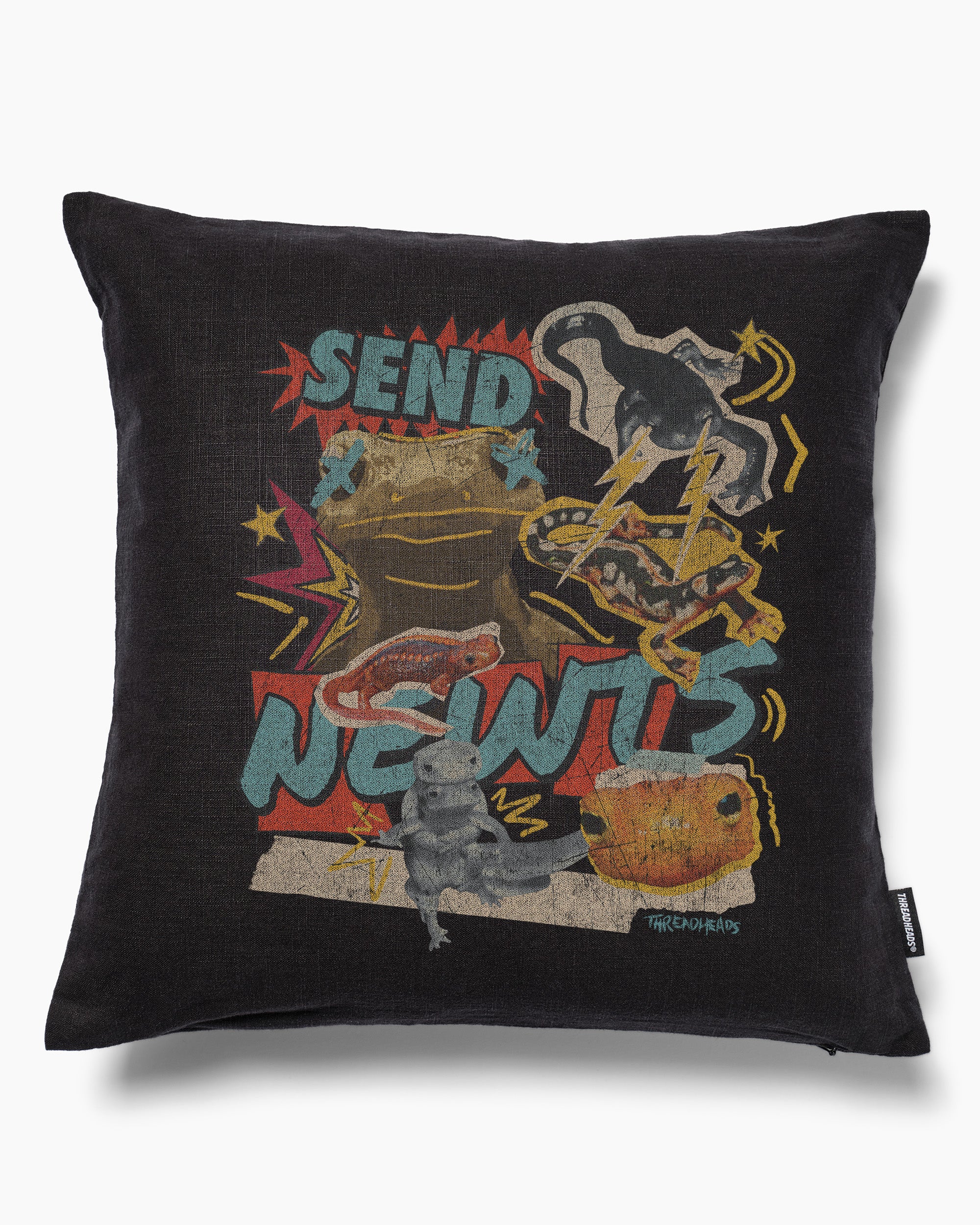 Send Newts Cushion | Graphic Cushion & Covers Australia