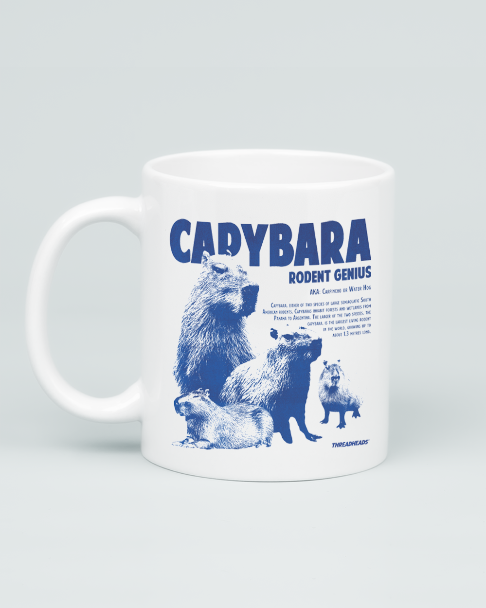 Capybara Rodent Genius Mug | Funny Mug Australia