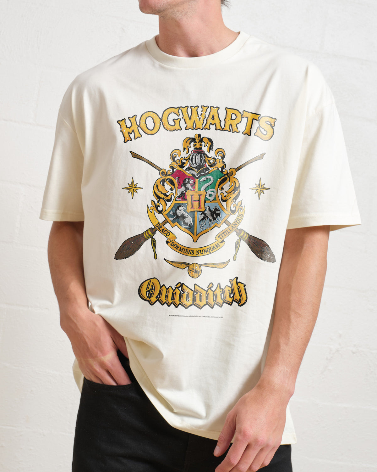 Hogwarts Quidditch Shield T-Shirt | Official Harry Potter Merch Australia