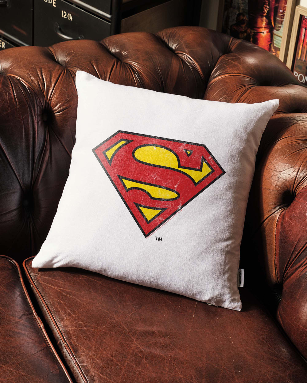 Superman Classic Logo Cushion | Graphic Cushion & Covers Australia